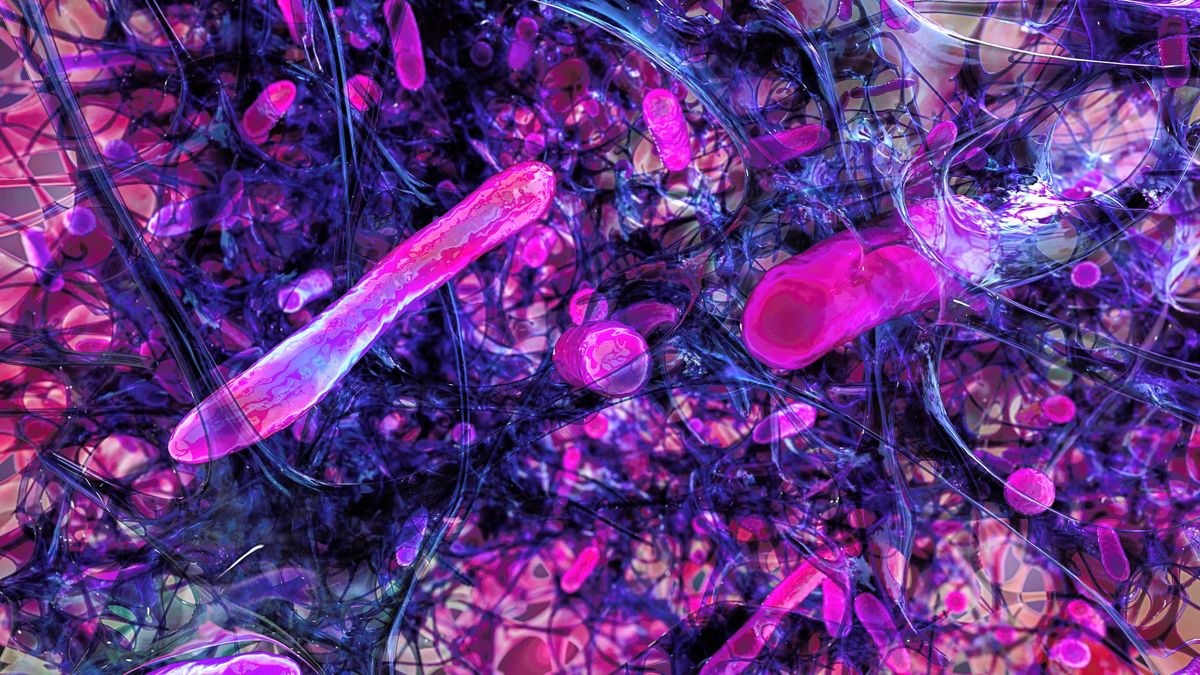 New briefing: Towards biofilm innovation: how can we tackle challenges ...