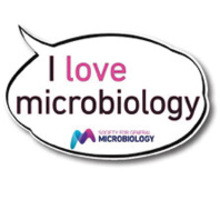 Society membership – more than meets the eye | Microbiology Society