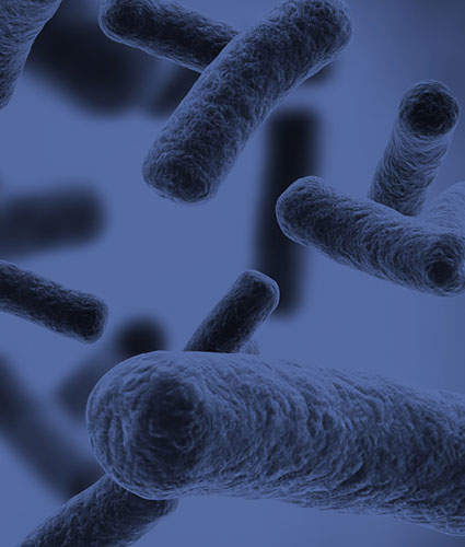 Cell - Cell Communication in Bacteria 2022: Microbiology Best Poster Prize