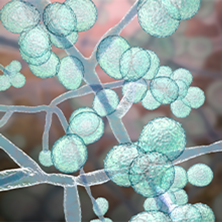 Homepage | Microbiology Society