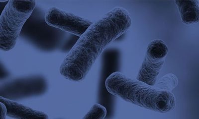 The Microbiology Society's founding journal is now fully Open Access ...