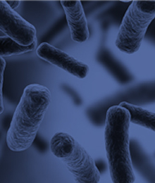 Meet the new Microbiology Deputy Editor-in-Chief: Professor Tracy Palmer