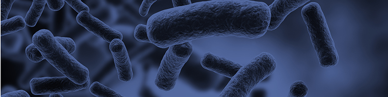 Microbiology Editor’s Choice: biofilm formation prevents colistin entry ...