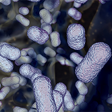 Access Microbiology launches a negative results collection