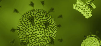 Keeping up with virus taxonomy: viruses spread by vectors ...