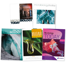 75 years on: a brief update on the history of the Microbiology Society ...