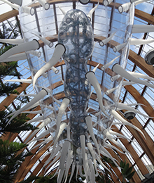 Bacterial World opening at Oxford University Museum of Natural History ...