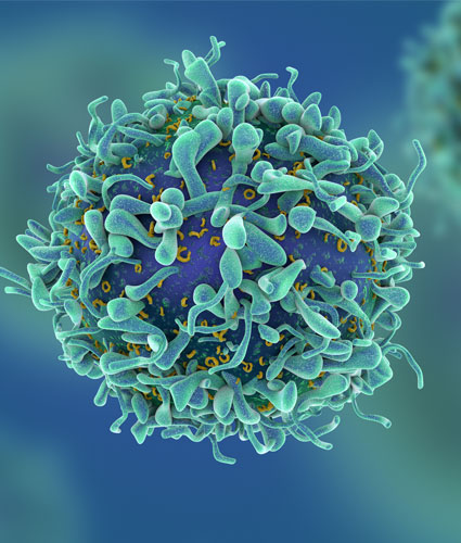 Safeguarding the Future of the Microbiology Research and Innovation ...