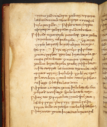 Researchers from Nottingham rediscover Anglo-Saxon antimicrobial