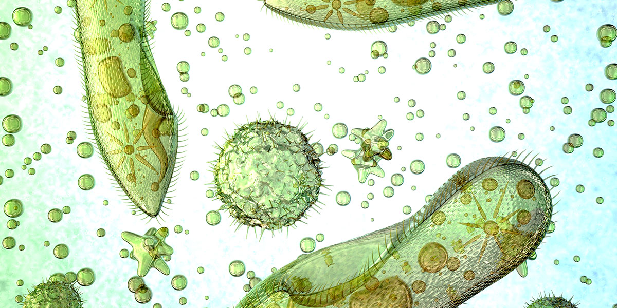 What is microbiology?