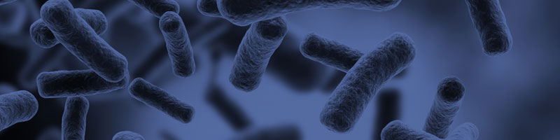 Microbiology Editor's Choice: a vital protein in Vibrio cholerae ...