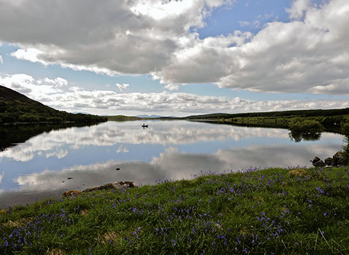 Professor Allan Hamilton (1936-2021)