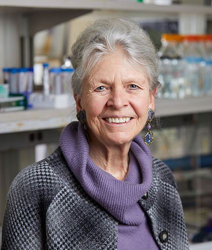 Prize Medal lecture 2021: Professor Joan Steitz