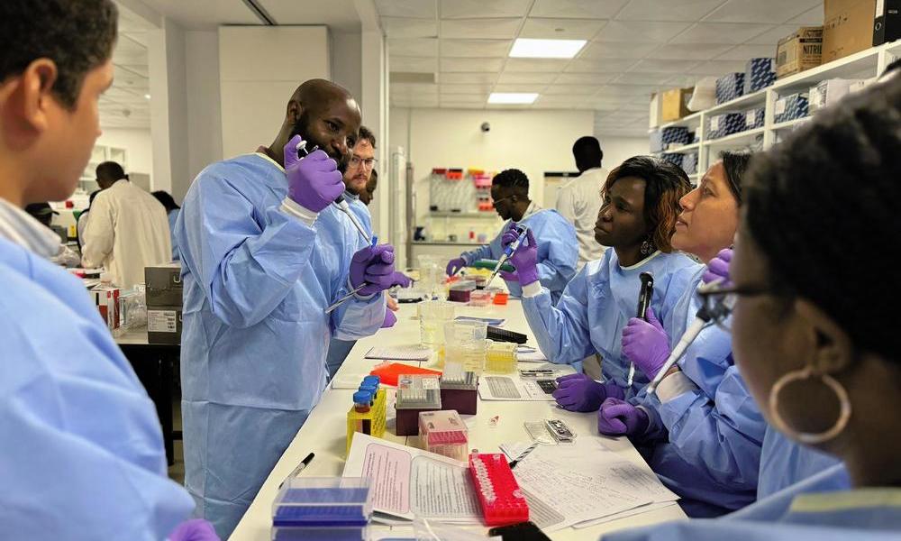 Persistent antibiotic resistance of cholera-causing bacteria in Africa ...