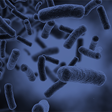 Microbiology Editors: Ecology and Microbiomes - Call for expressions of ...