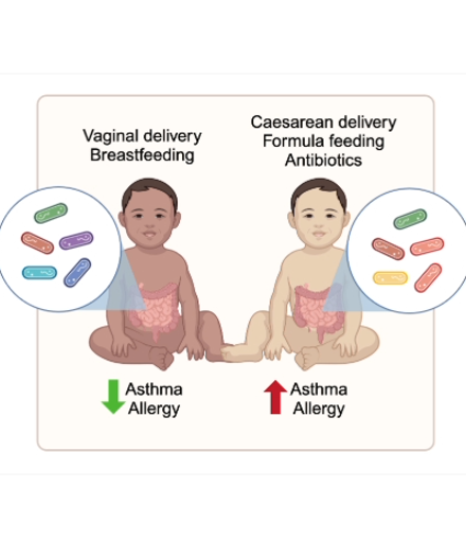 Caesarean section infants’ gut microbiome differences are driven by ...