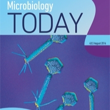Microbiology Today: Future Tech | Microbiology Society