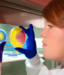 Small World Initiative announces PhD Studentship | Microbiology Society