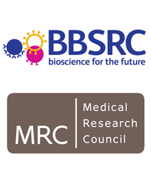New microbiology-focused grants available from the UK Research Councils ...